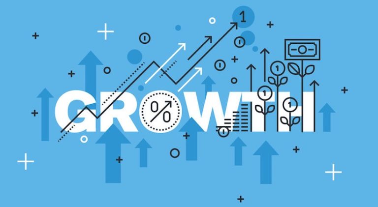 How Should Your Business Grow? - Young Leaders